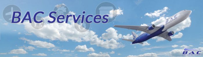 Bringer-services - Bringer Air Cargo